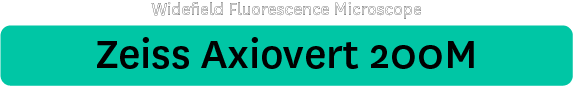 zeiss_axiovert_200m [Bioimaging Wiki]